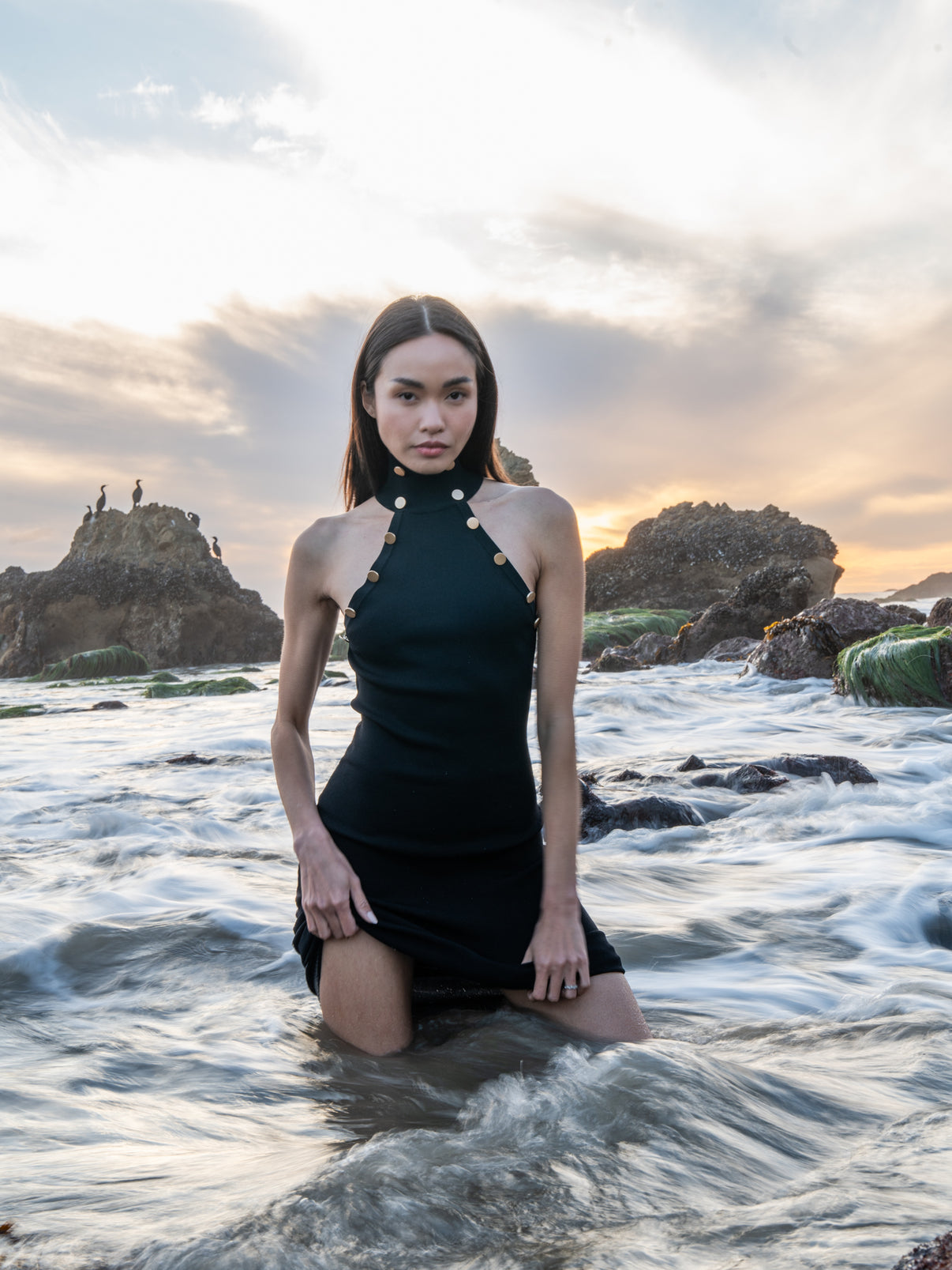 the little black midi dress – Catnip and Seaweed